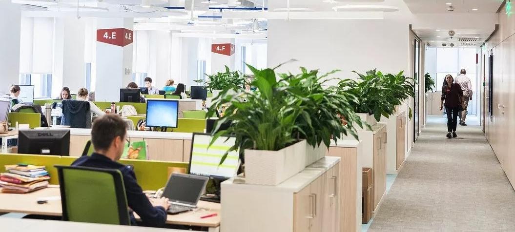 Прямой эфир «Все о Mars Leadership Experience Program» - статьи ...