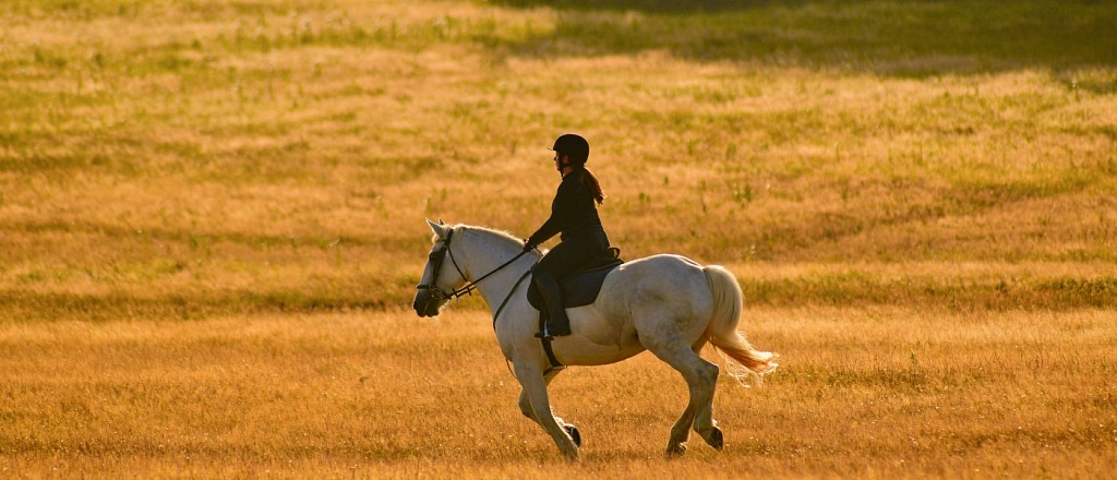 Active leisure in Dushanbe: where to go on the weekend for a fun time ...